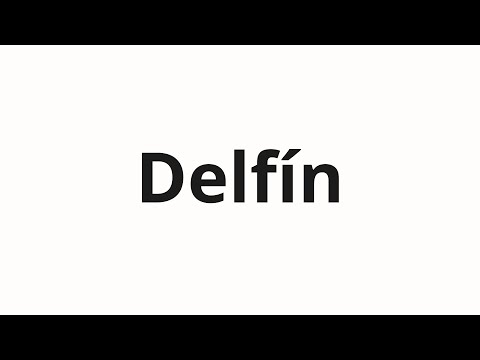 How to pronounce Delfín