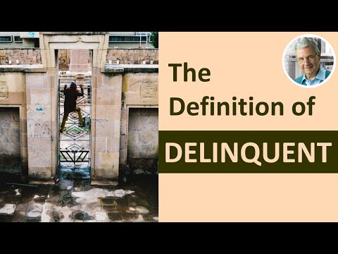 What is the Meaning & Definition of DELINQUENT? (Illustrated Example)