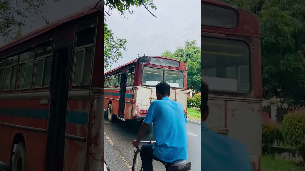 Colombo Logistics | 🫂✨ #primemover #trucking #automobile