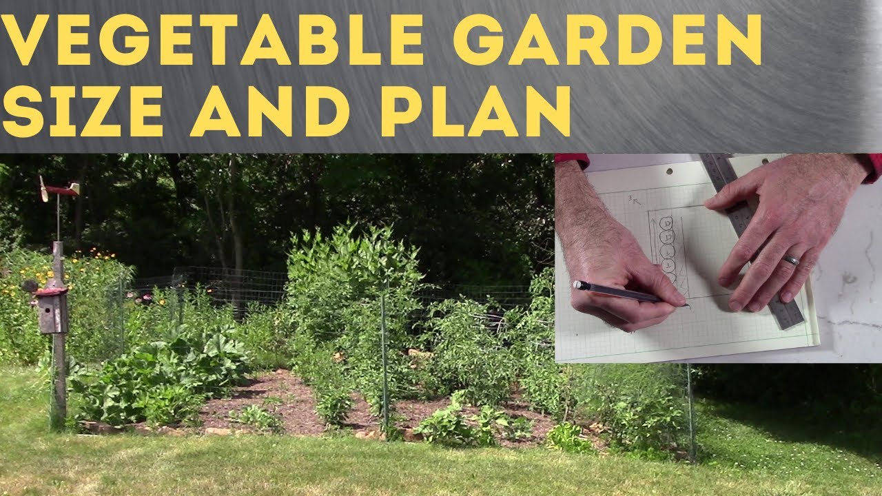 How to Size and Plan a Vegetable Garden