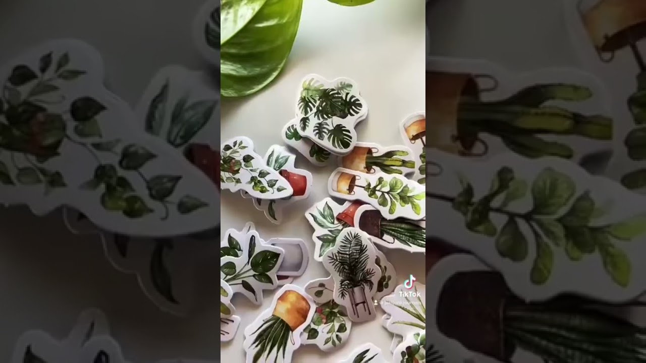 Can’t get enough of these plant stickers 🌿 From AliExpress by @justjunkjournals #aliexpress