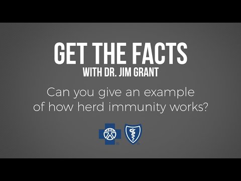 Get The Facts with Dr. Jim Grant | What is herd immunity explained through an example?
