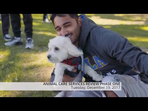 Long Beach Now - Phase One Review of Long Beach Animal Care Services