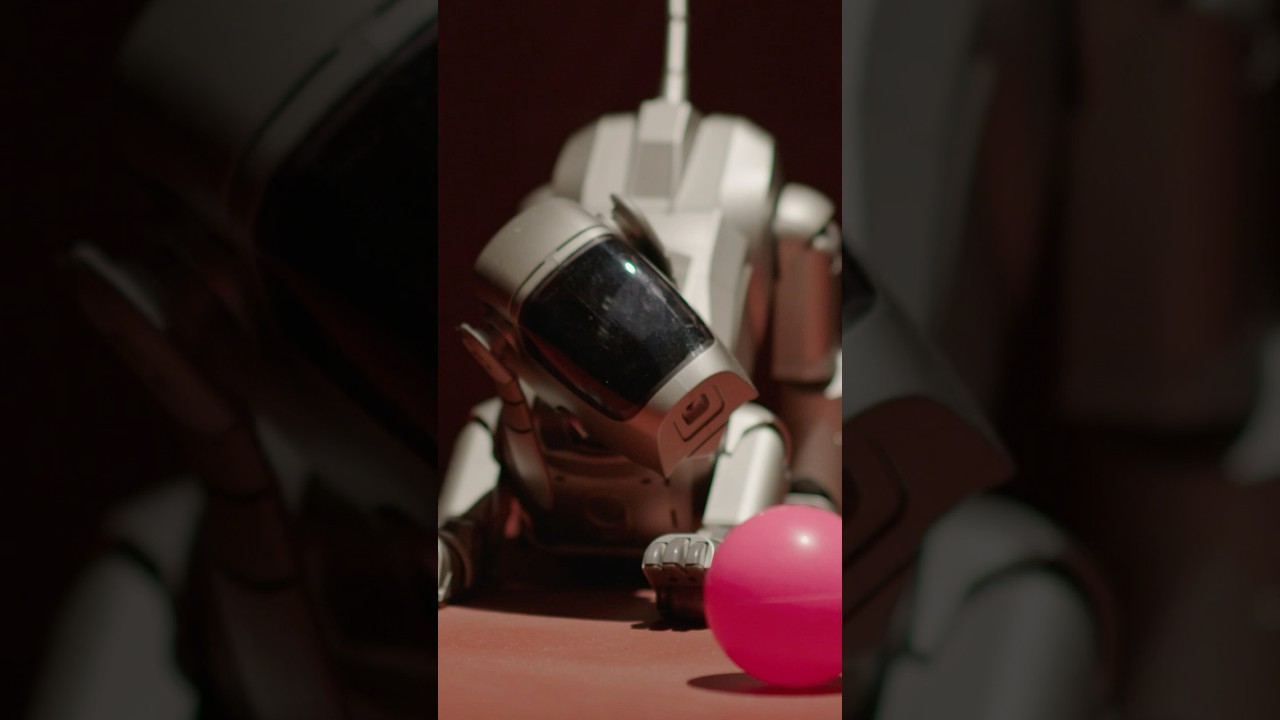 The first companion robot