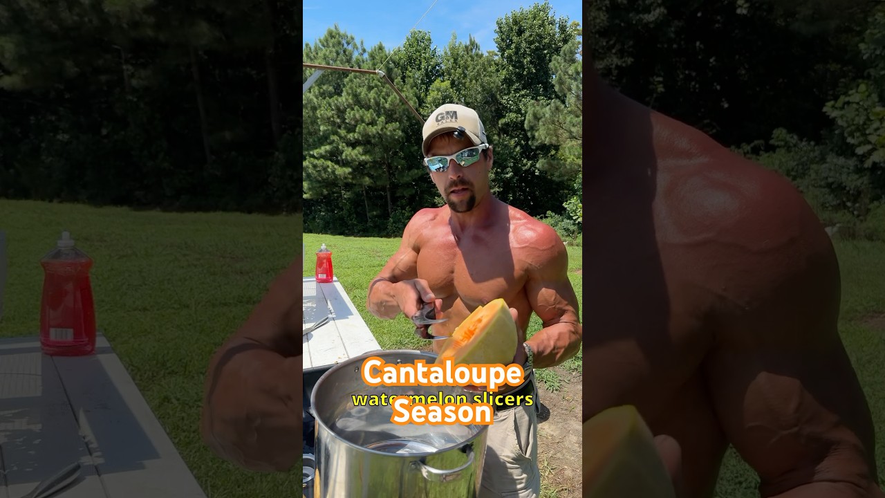 Cantaloupe Galore! #garden #homestead #cantaloupe #harvest #homesteading