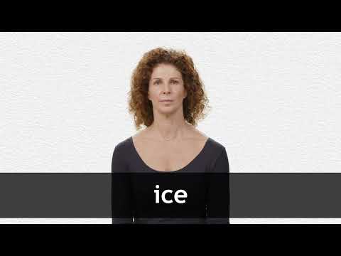 ICE definition and meaning | Collins English Dictionary