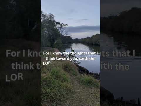 Bible Quiz: Guess the Book and Verse #shorts #bible #bibleverse #biblequotes