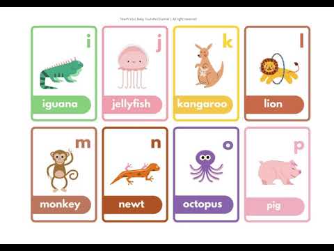 Free Animal ABC Flashcards | Free Printable ABC Flashcards | Free PDF Printable Flashcards