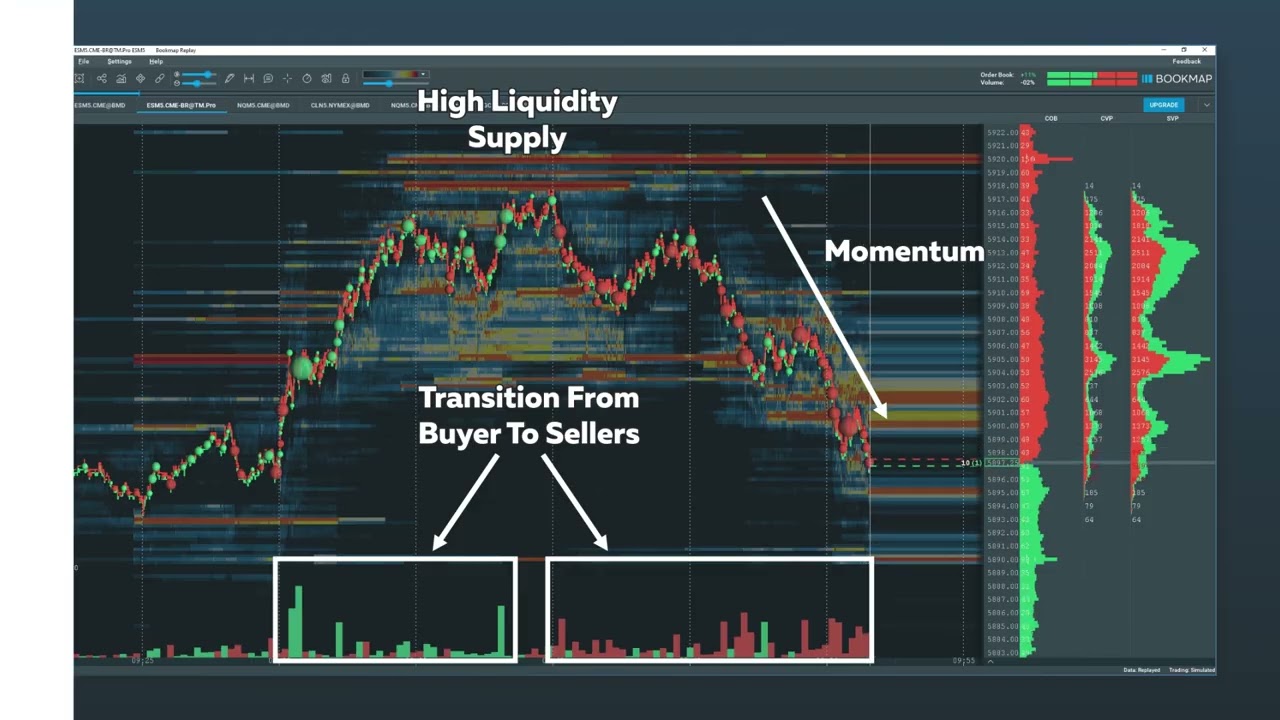 Bookmap Introduction and Key Features