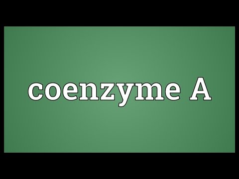 Coenzyme A Meaning