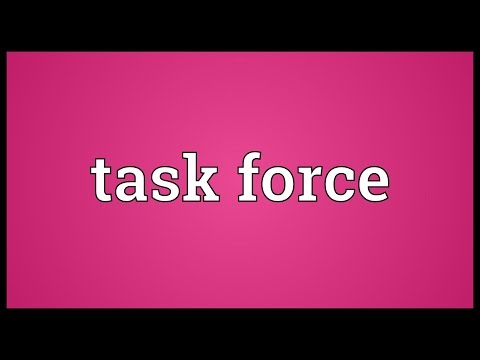 Task force Meaning