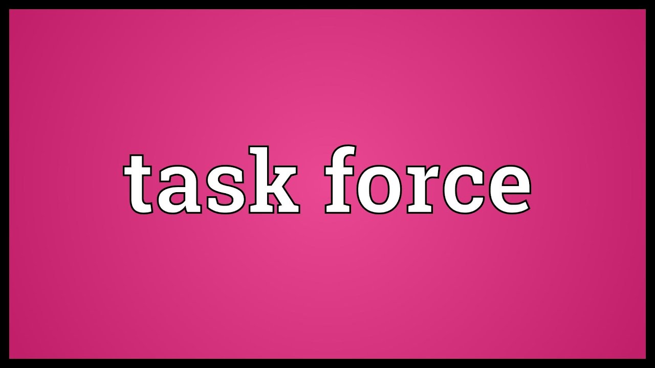Task force Meaning