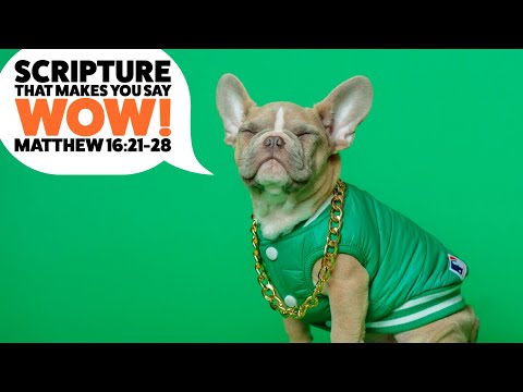 Sermons – Stephen Stapleton