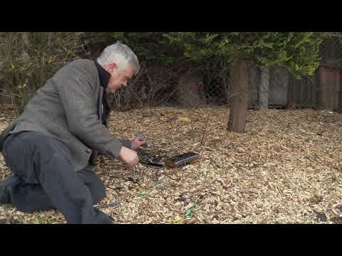 The Earth Battery As A 'Free' Energy Generator