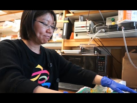 In Science, "You Always Have To Challenge Yourself"