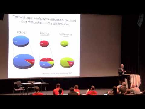 History and future of tendinopathy - Sports Medicine Congress 2016