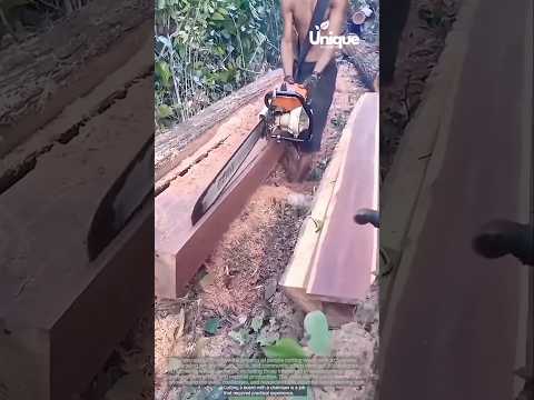 Cutting wood with a chainsaw: a woodworking task