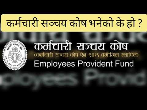कर्मचारी सञ्चय कोष भनेको के हो ?