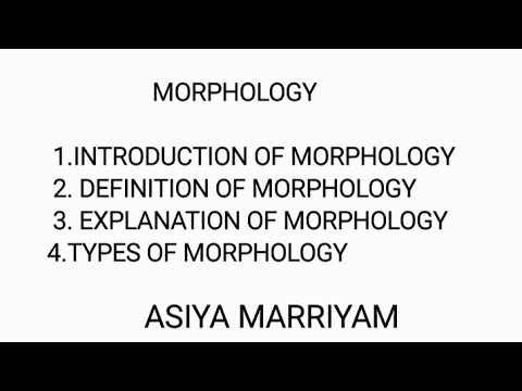 Morphology | Definition | Introduction | Explanation | Types of morphology