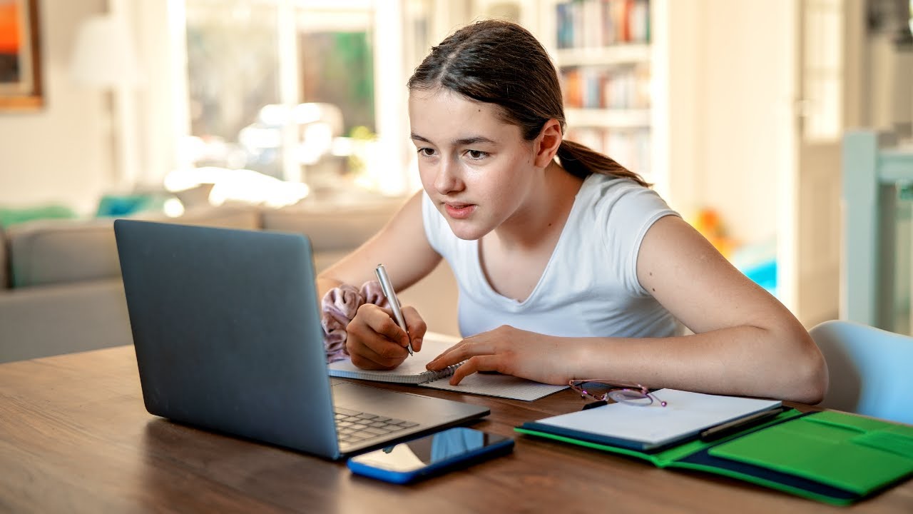 How to Use Online Learning Assessments
