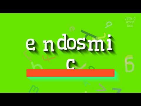 ENDOSMIC - HOW TO SAY ENDOSMIC?