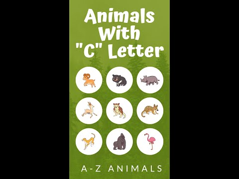You Should Know this Animal, It Name Start with "C"