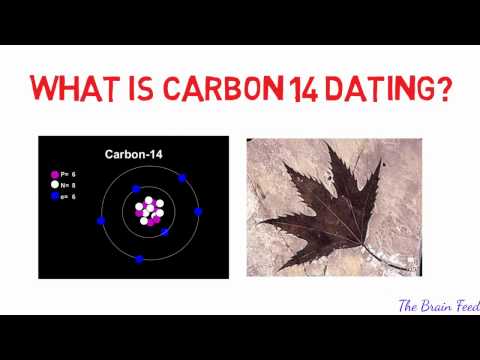What is Carbon14 Dating?