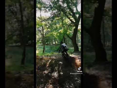 Tiktok | Carlton bank downhill Mtb🤜🏽🚲🤛🏽