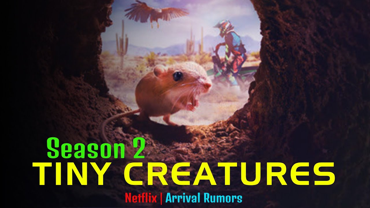 Tiny Creatures Season 2 Arrival Rumors Will We Get It - Release on Netflix