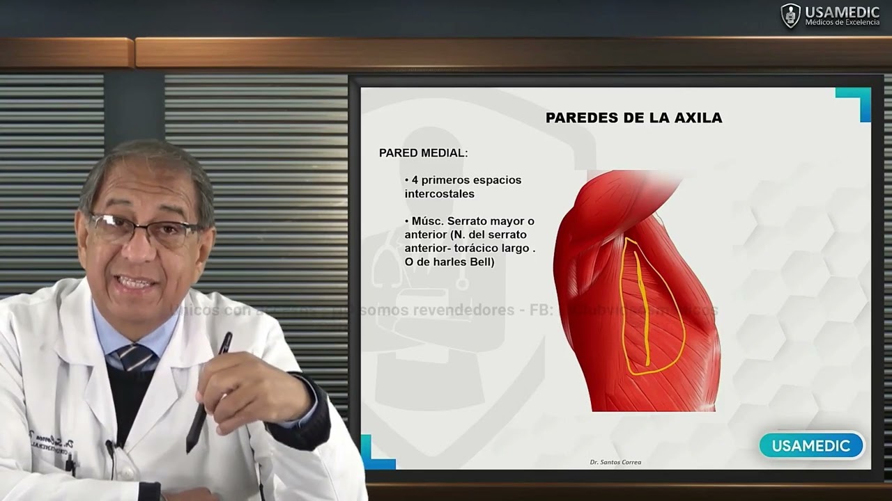 USA MEDIC Anatomía 1