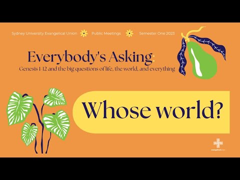 What is male & female?