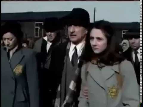 Matthew Ferraro | Anne Frank - The Whole Story