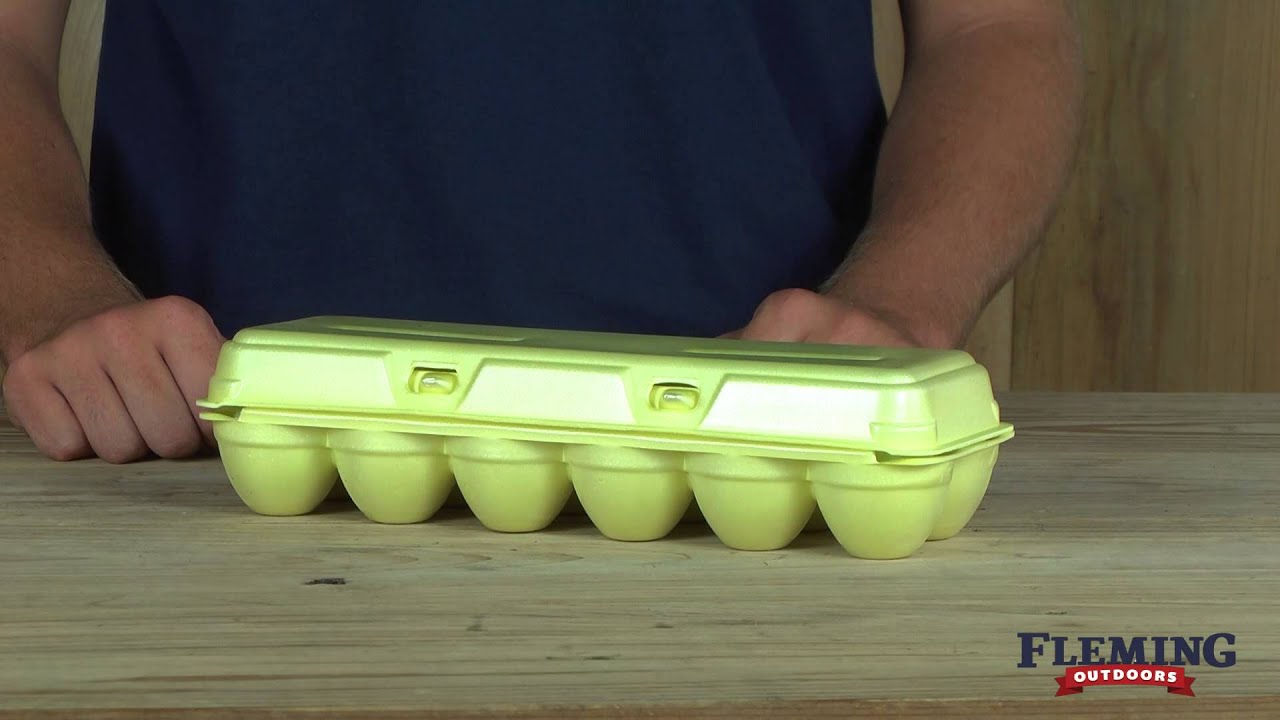 Chicken Egg Cartons - Foam