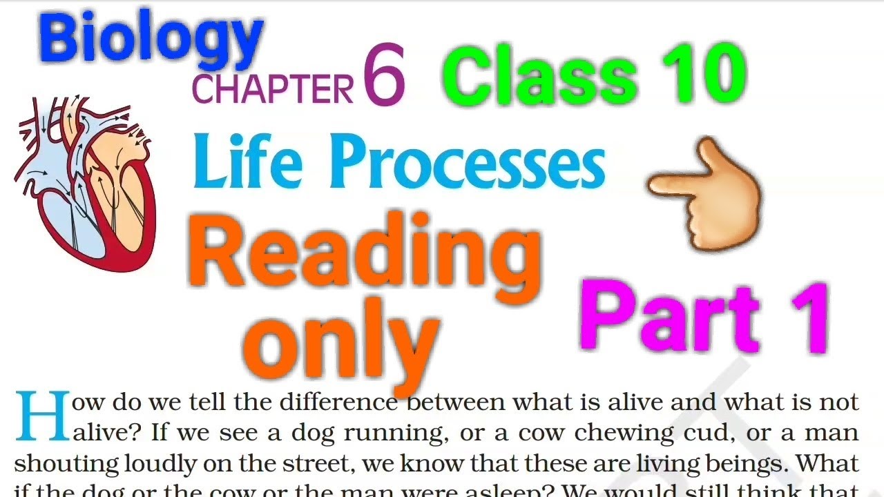 (Reading Only) Life Processes | Part 1 | Science | Class 10 | NCERT