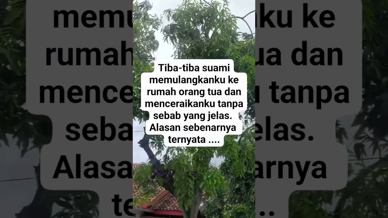 Baca di KBM APP, Judul : DICERAI SUAMI, DINIKAHI MAJIKAN TAMPAN, Penulis : TRIANAR #dramaromantis