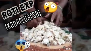 jamurfuzziblog: Jamur Pada Roti Basi