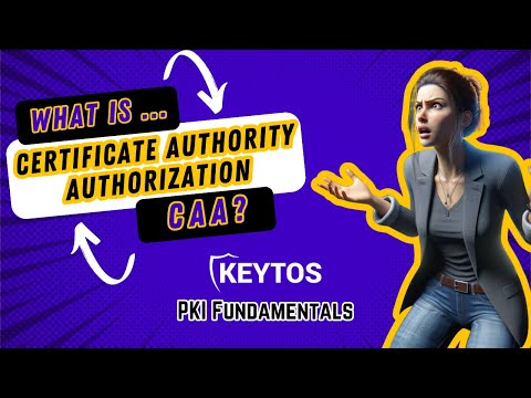 What is a CAA (Certificate Authority Authorization)?