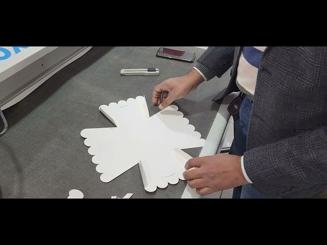 Laminated Box - Laminated Packaging Box Manufacturer from New Delhi