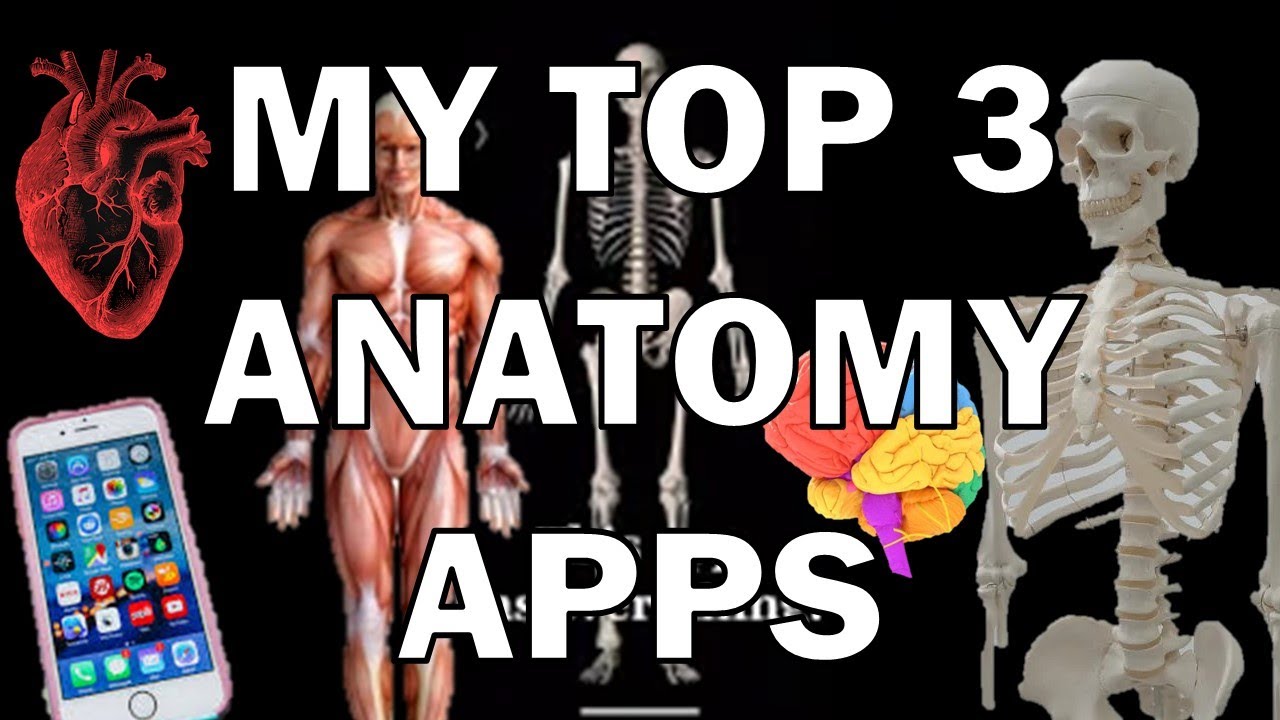 Top 3 Human Anatomy Apps