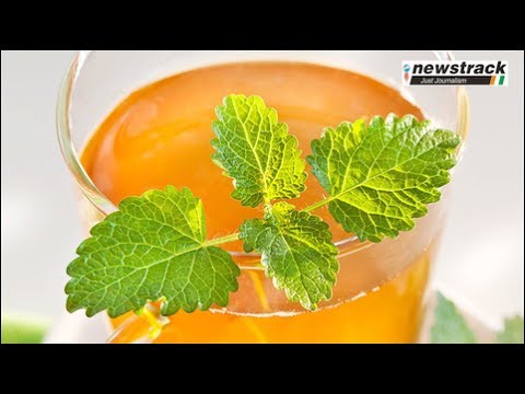 सरदर्द का अचूक इलाज़ है लेमन बाम, शोध में बताये गए ये फायदे | Lemon Balm Benefits and Medicinal Use