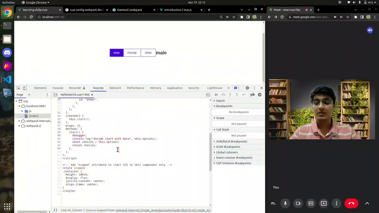 VUE JS Debugger Issue Solution