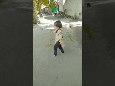 Timli adivasi song Dans||Arash official