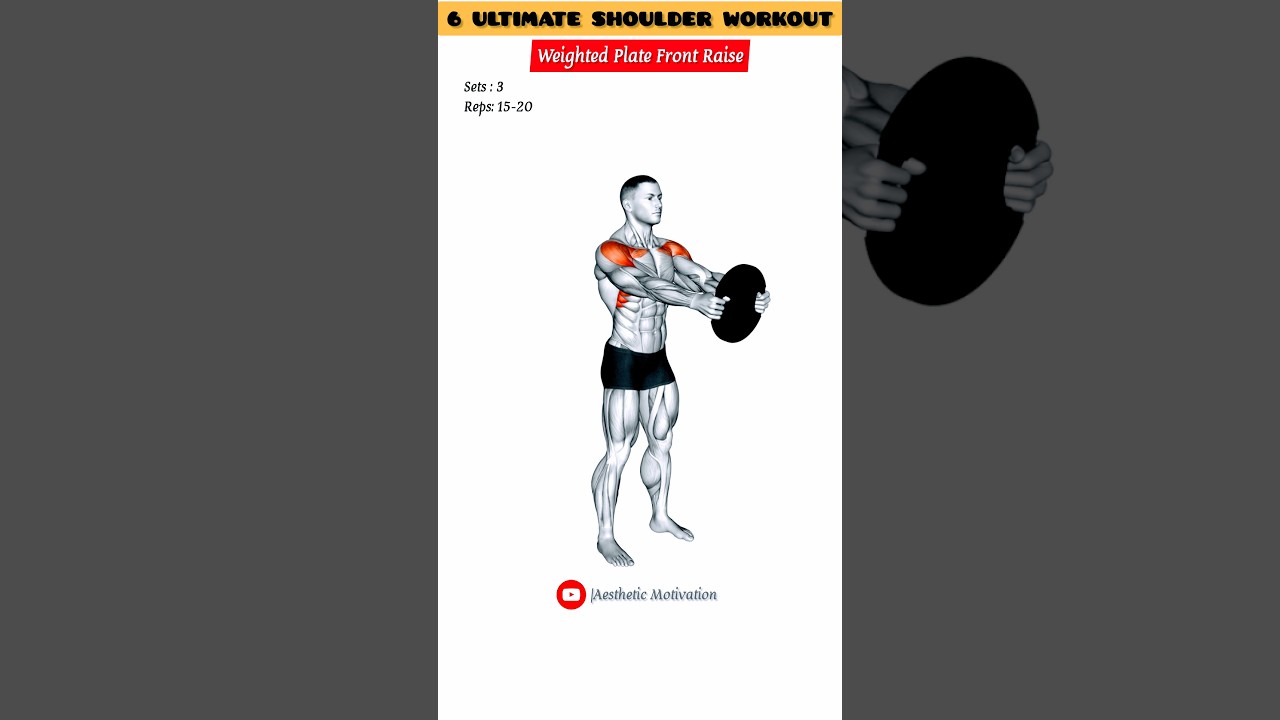 6 Ultimate Shoulder Workout at Gym for Maximum Gains 💪 #shoulderworkout