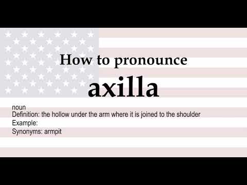 How to pronounce 'axilla' + meaning