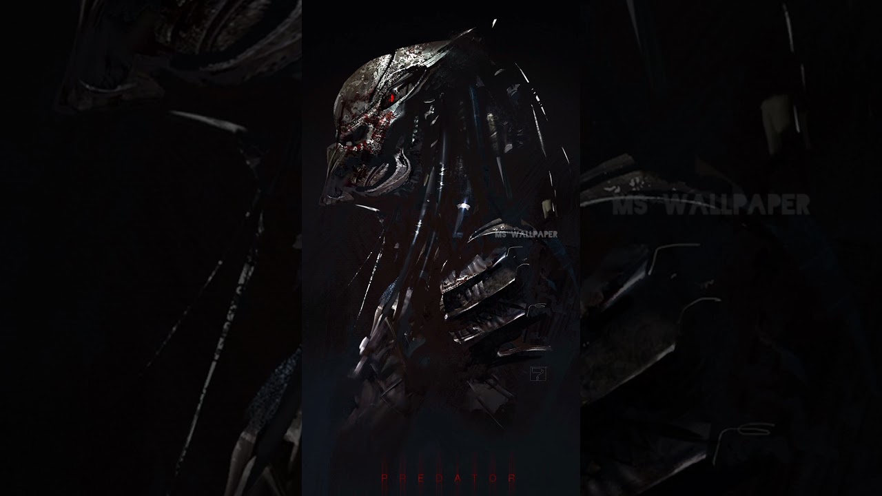 predator live wallpaper | live wallpaper 4k the predator with sound effects | MS wallpaper| MSW