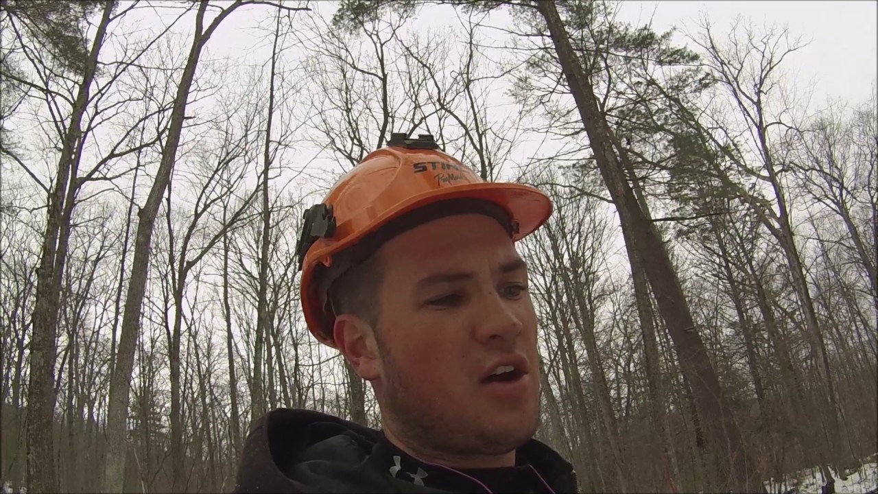 Husqvarna 372xp review