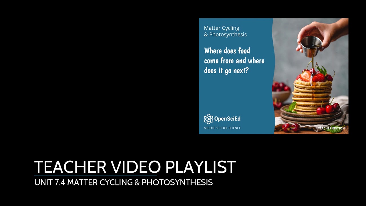 Photosynthesis 7th Grade - MS-LS1-6, MS-LS2-3, MS-PS1-3, MS-LS1-2