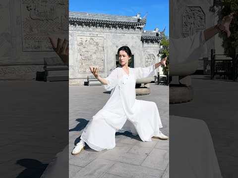 Tai Chi Flow: Where Movement Meets Meditation ☯️