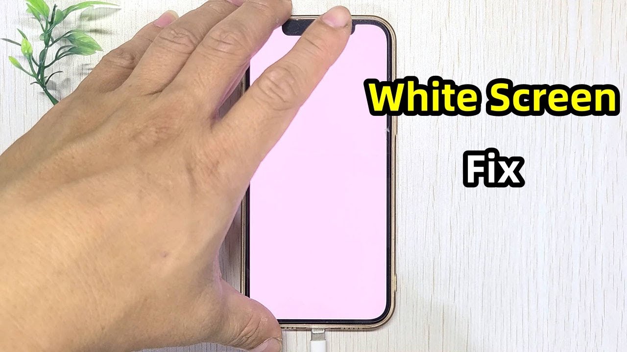 How to Fix iPhone Stuck on White Screen? [3 Ways 2025]