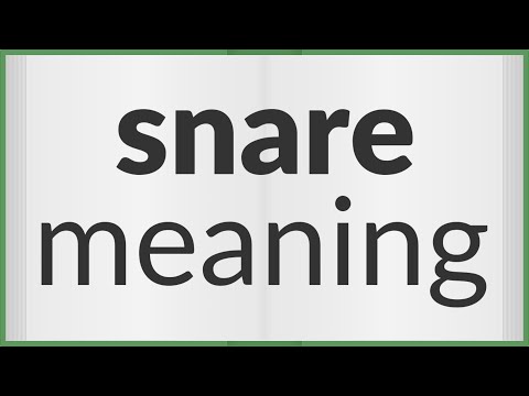 Snare | meaning of Snare